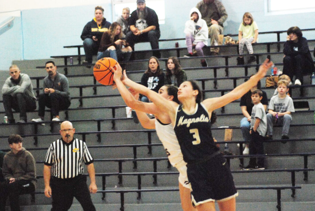 Nine in a row: Crusaderettes win another Mary ‘O’ title | News, Sports ...